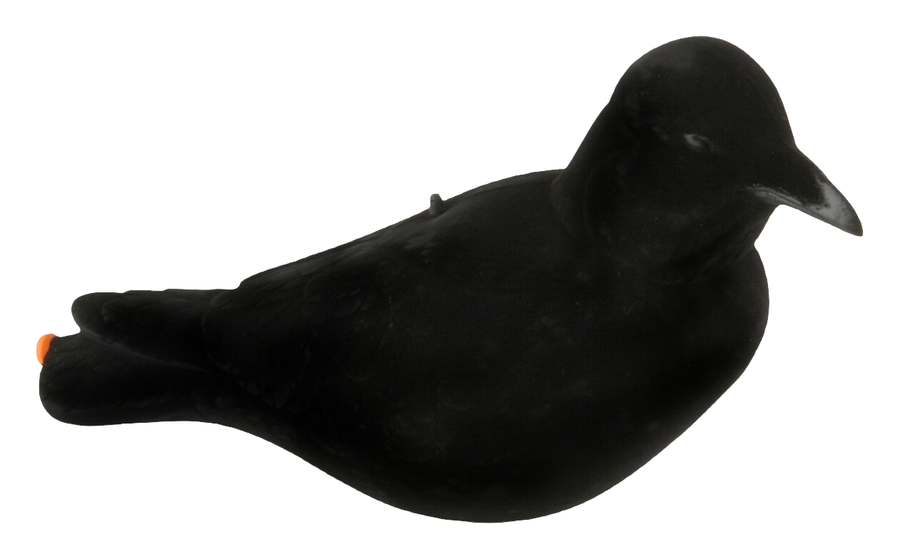 GHG FFD Elite Series Crow Decoys | Cabela's